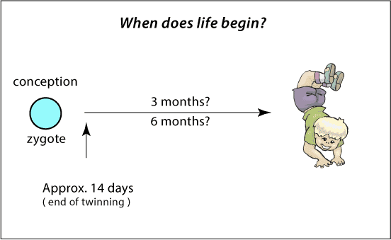 Human Cloning and Stem Cell Research — Biblical Perspective | NeverThirsty