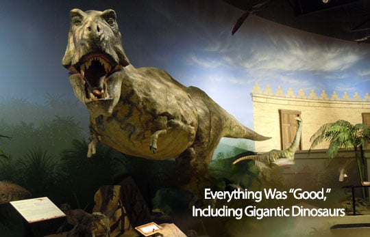 Were Gigantic Dinosaurs Able To Live On The Ark Evolution V s Creation NeverThirsty were-gigantic-dinosaurs-able-to-live-on-the-ark-evolution-v-s-creation-neverthirsty