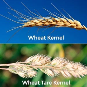 Bible Studies | Page 17 | NeverThirsty