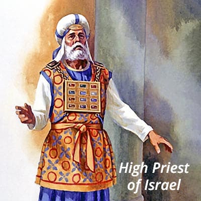 What is the difference between chief priests and high priests ...