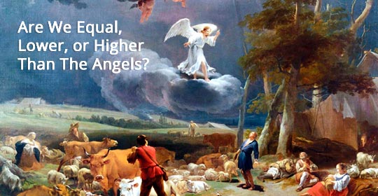 Are we equal, lower, or higher than the angels? — Luke 20:36 | NeverThirsty