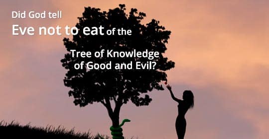 Tree Of Knowledge Of Good And Evil Adam And Eve