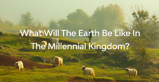 What will the earth be like in the millennial kingdom? | NeverThirsty