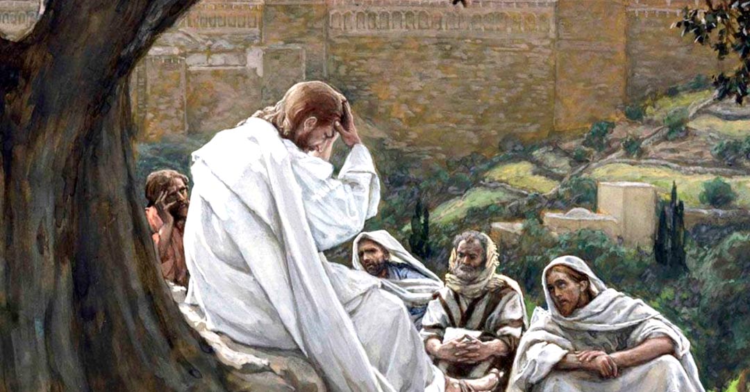 What Does this Generation Mean In Matthew 24 34 NeverThirsty what-does-this-generation-mean-in-matthew-24-34-neverthirsty
