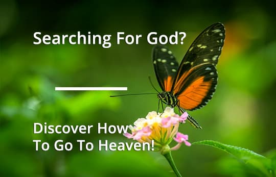 Searching for God — In Search of God — Go To Heaven | NeverThirsty