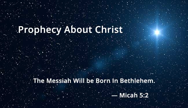 NeverThirsty — Bible Studies, and Bible Q&A for spiritual growth